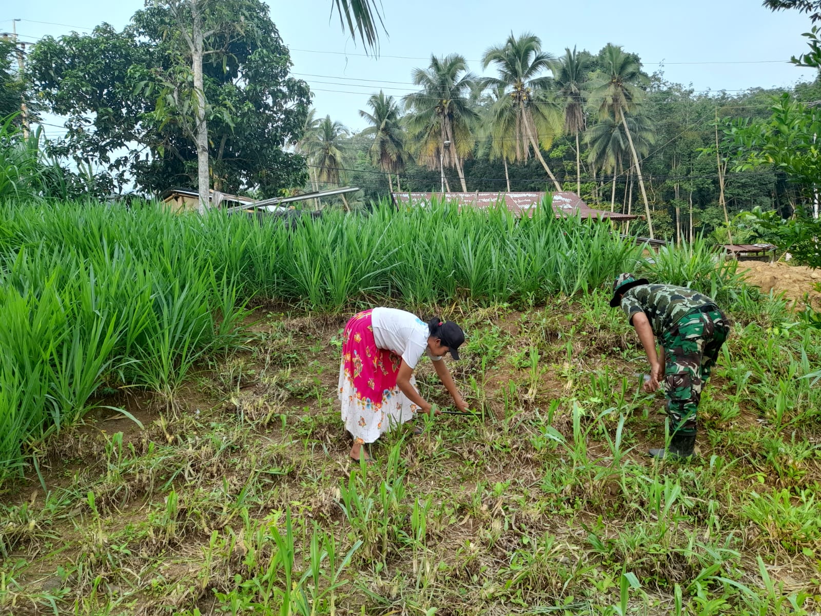 Serma Syahrial melaksanakan kegiatan inovatif Karya basamo dengan ...